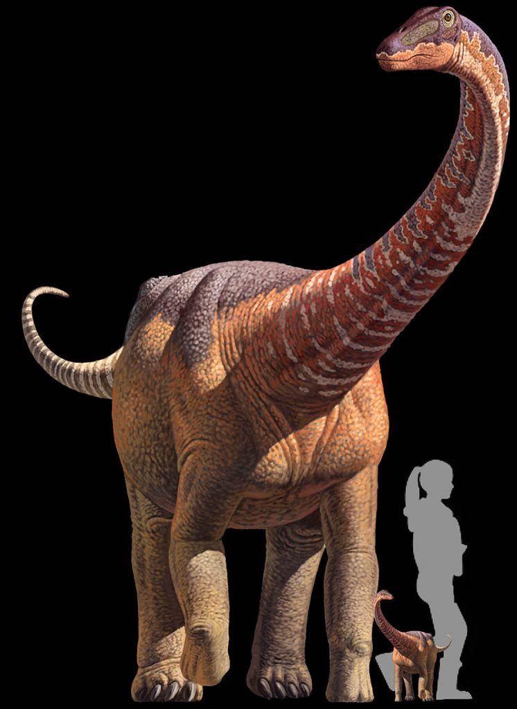 Dinosaur: Videnskab.dk's vildeste dino-artikler vil ændre dit blik på ...