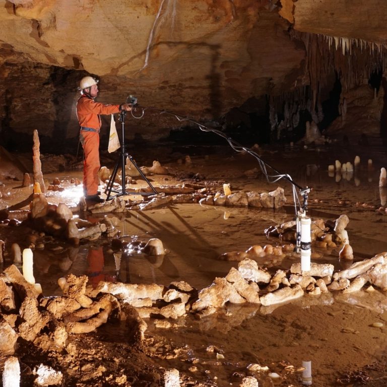 Hvor kom neandertalerne fra?