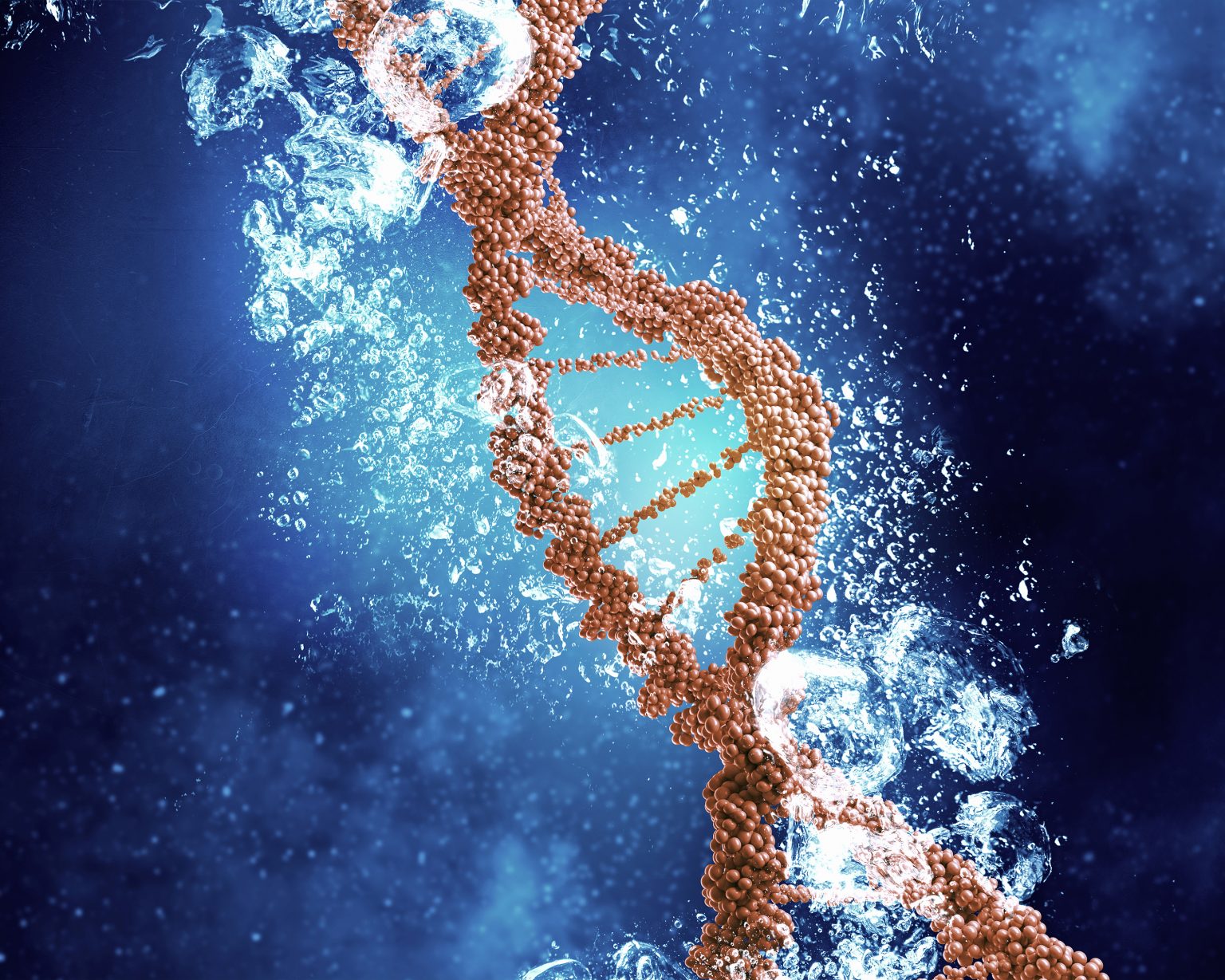 Omdiskuteret DNA-studie af menneskets evolution var forurenet